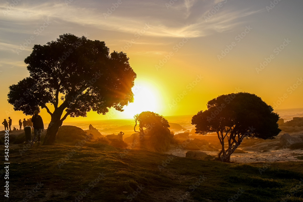 Sunset at Camp Bay Beach, Cape Town, South Africa Stock Photo | Adobe Stock