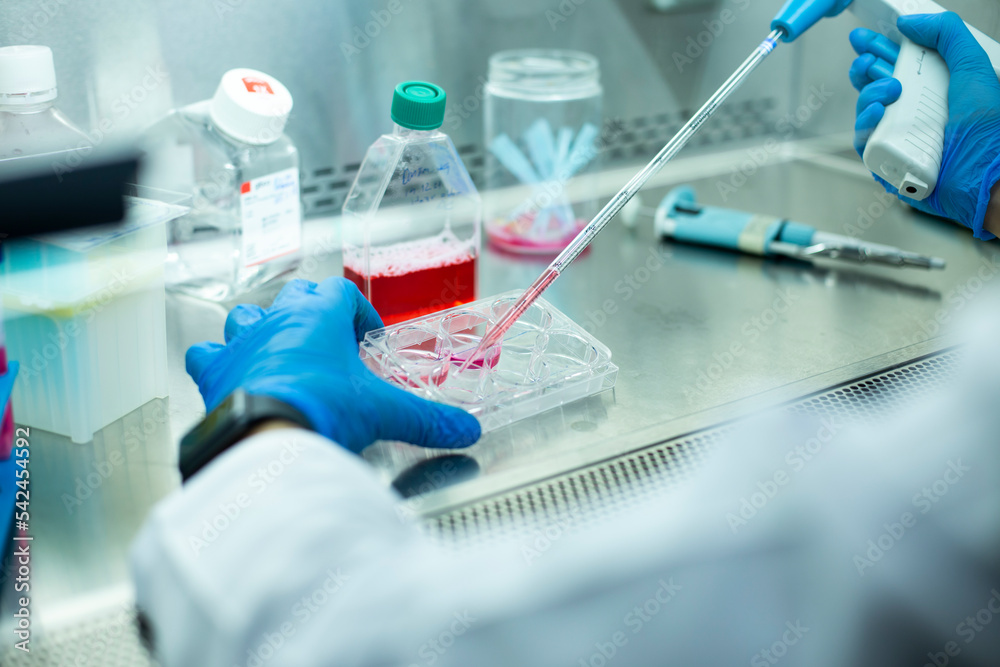 medicine, medical, cell culture and biology laboratory photo Stock ...