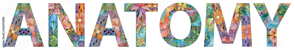 Word ANATOMY. Vector zentangle object for decoration Stock Vector ...