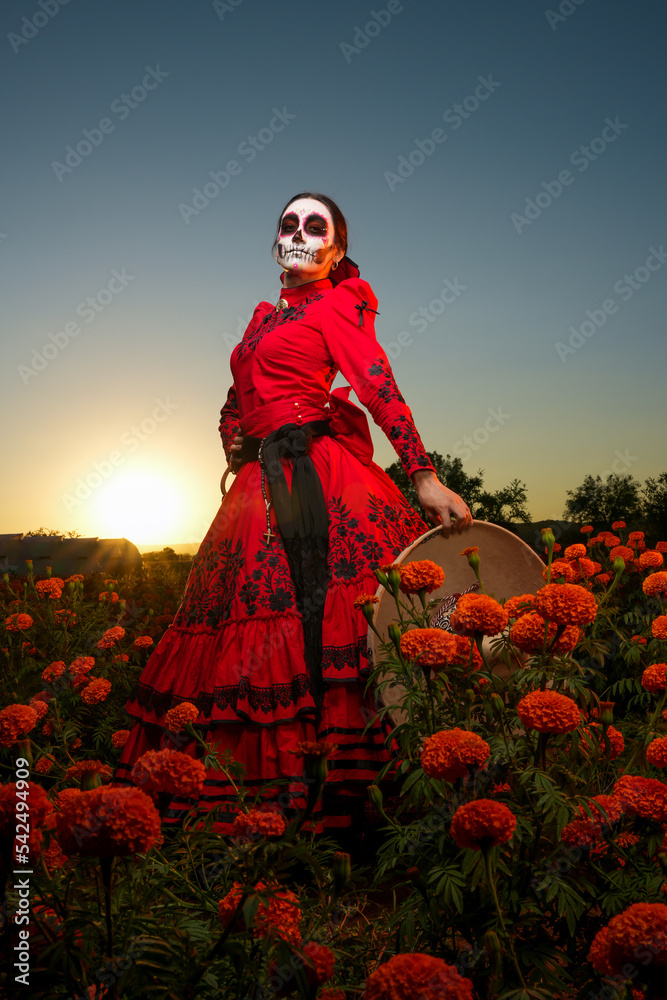 Catrina escaramuza mexicana. Stock Photo | Adobe Stock