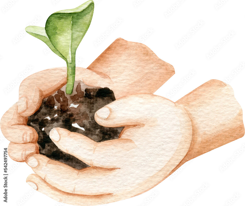 Baby hands holding a green sprout with clod of soil. Garden watercolor ...