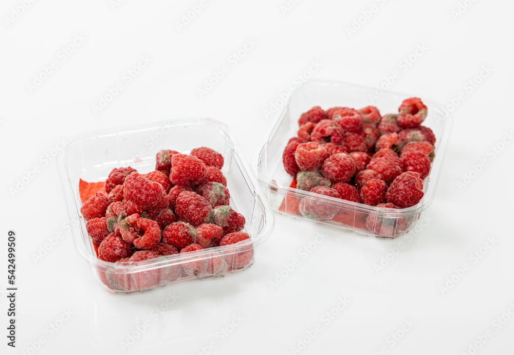Moldy Raspberries
