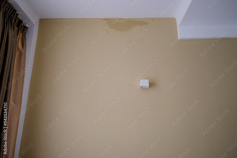 darkened room wall, dilapidated walls and wet ceiling, gray mold on ...