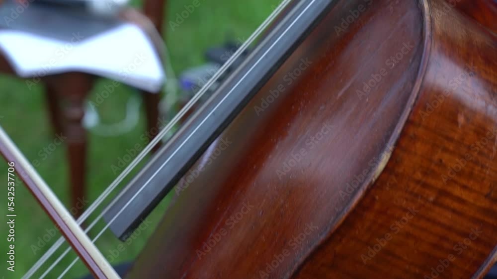 Professional cellist plays in an open area for guests. Guy plays the ...