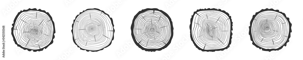 Tree rings icons set. Trunk cross section surface. Dendrochronology ...