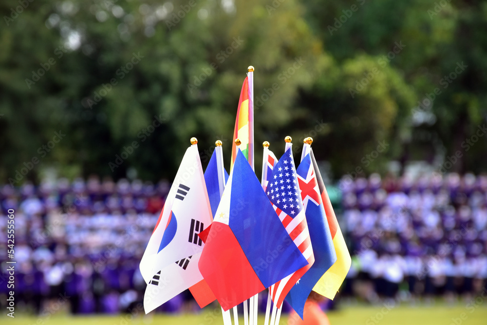 Rainbow flags and flags of many countries in front of green grasslawn ...