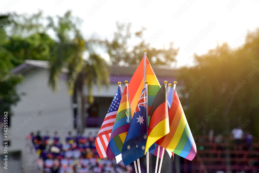 Rainbow flags and flags of many countries in front of green grasslawn ...