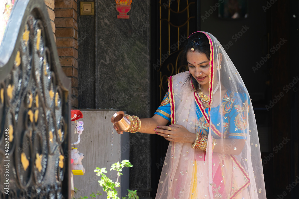 Indian Hindu married woman, bahu pouring water to tulsi basil plant ...