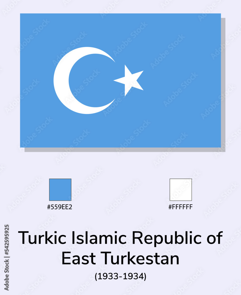Vector Illustration of Turkic Islamic Republic of East Turkestan (1933-1934) flag isolated on ...