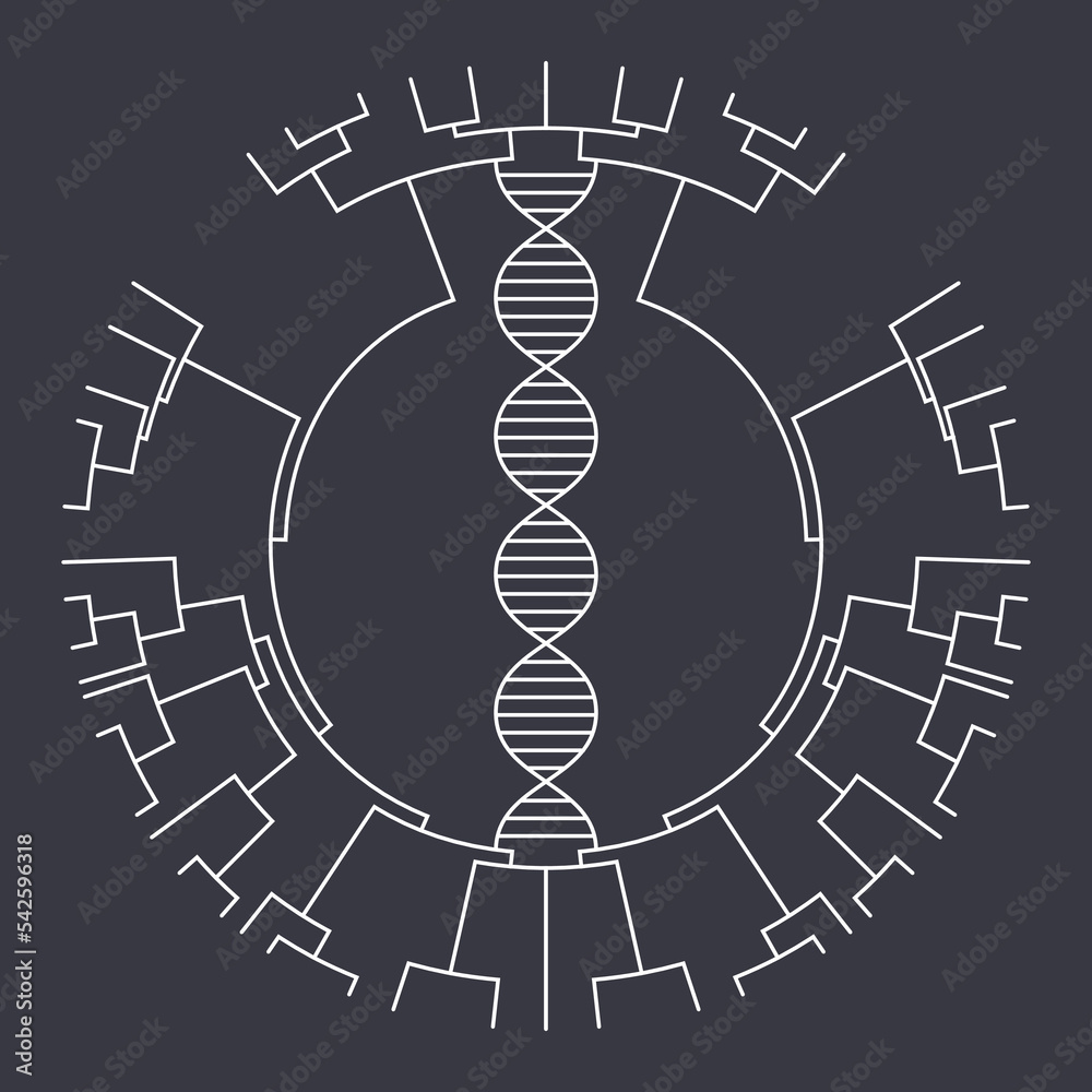 Phylogenetic tree science vector illustration graphic design Stock ...