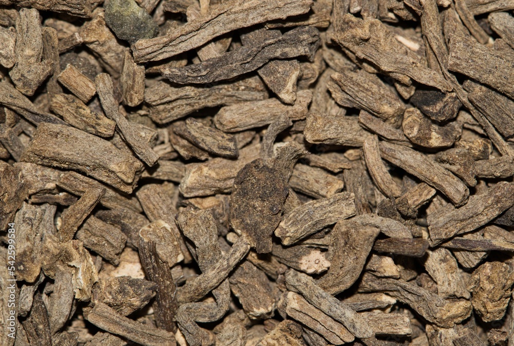 Dried Valerian root pieces (Valeriana officinalis), macro background ...