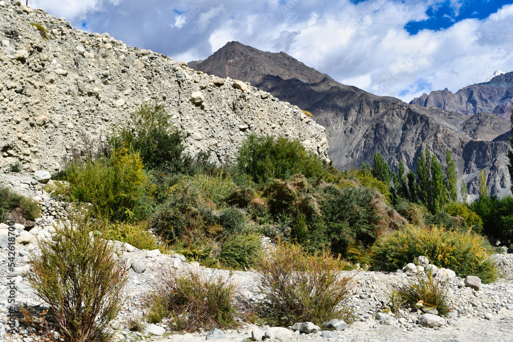 Hunder to Tyakshi, Nubra Valley, Ladakh (India) Also known as Takshi is ...