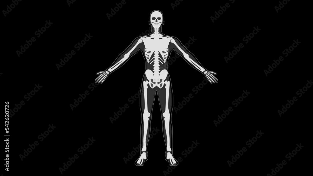 The HUD Medical display with Human Systems is a motion graphics video ...