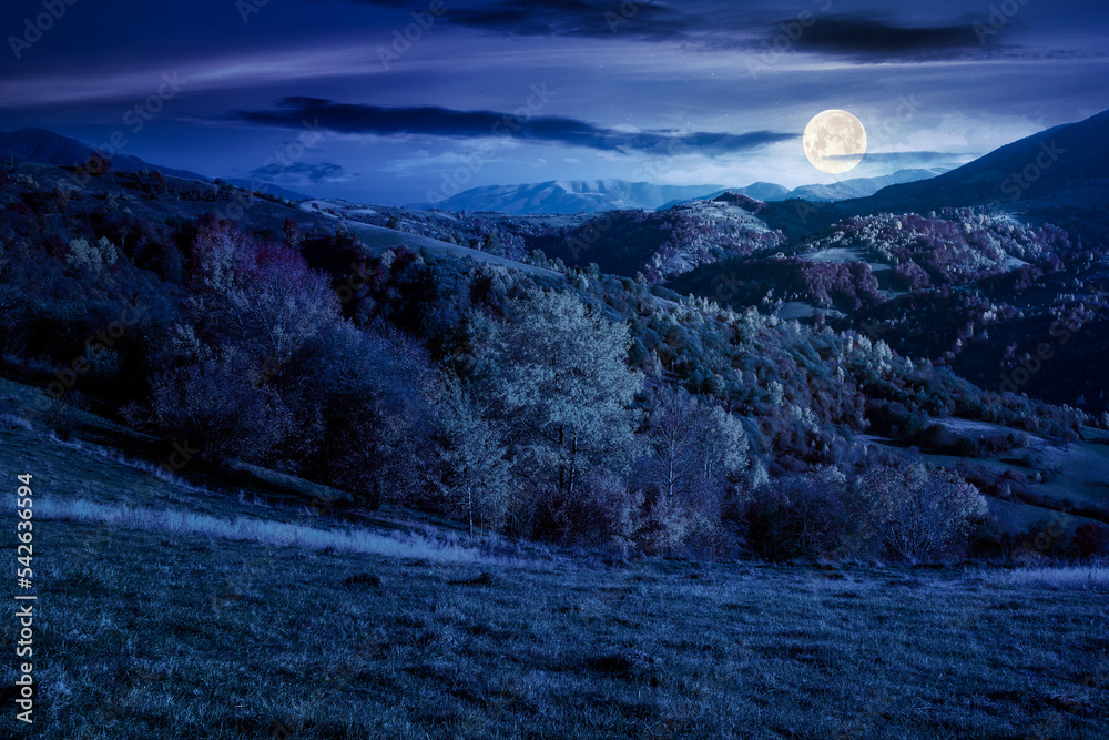 beautiful autumn mountain landscape at night. dark scenery with trees ...