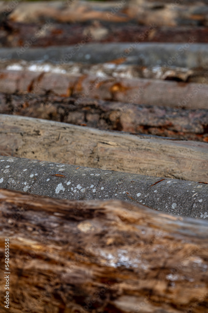 Different types of logs in a timber yard. Stock Photo | Adobe Stock