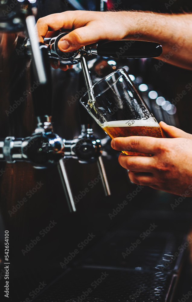 bartender hand at beer tap pouring a draught beer in glass serving in a ...