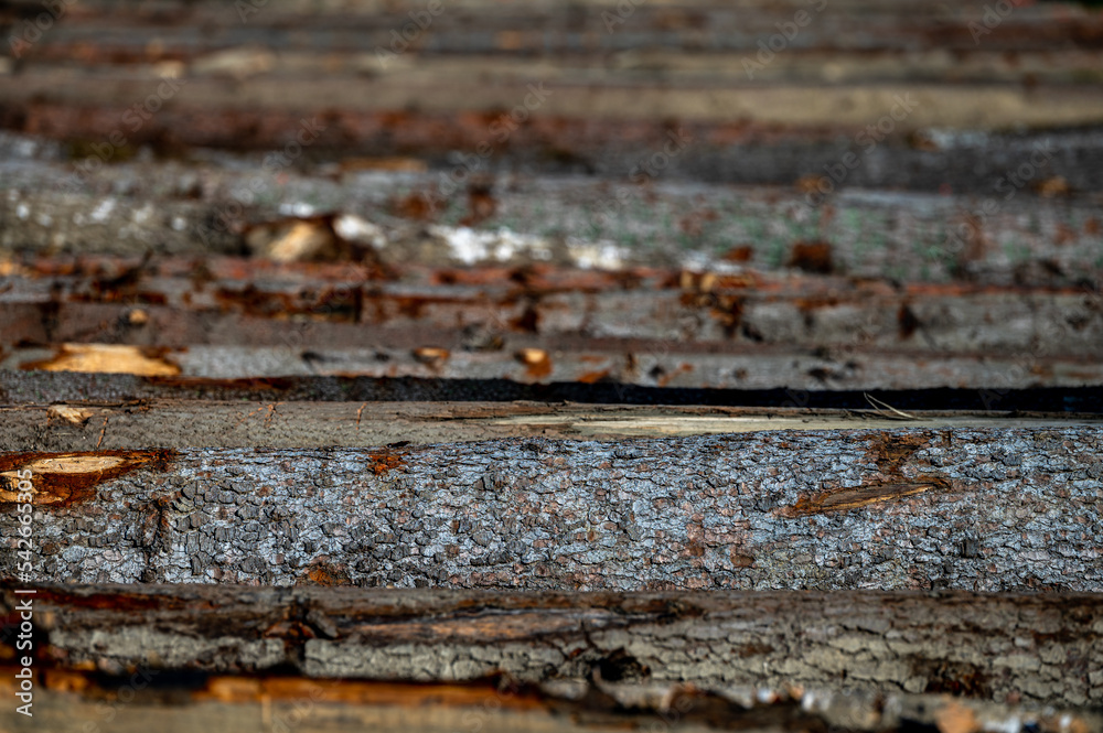 Different types of logs in a timber yard. Stock Photo | Adobe Stock