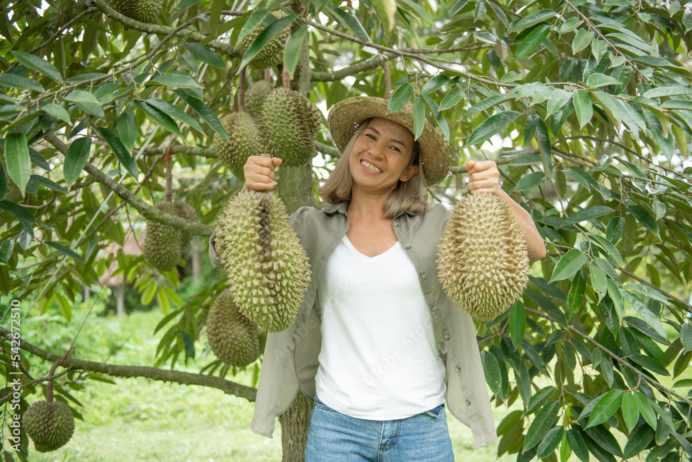 Foto de Happy young asian woman farmer holding durian in durian ...