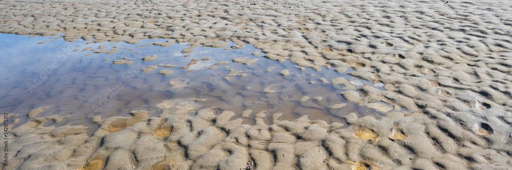 Dry lagoon soil with wavy sand, granular forms and a bit of sea water ...
