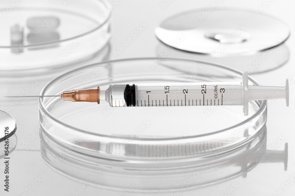Syringe with liquid transparent vaccine for injection on petri dish in ...