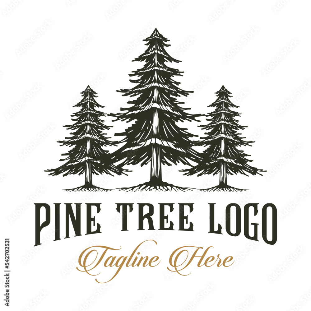 Logo Design Pine tree illustration The concept of tall pine trees in a ...