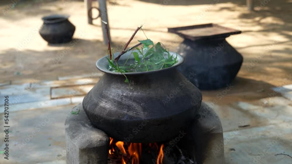 Green Neem leaves known as Azadirachta indica boiled in water on chulha ...