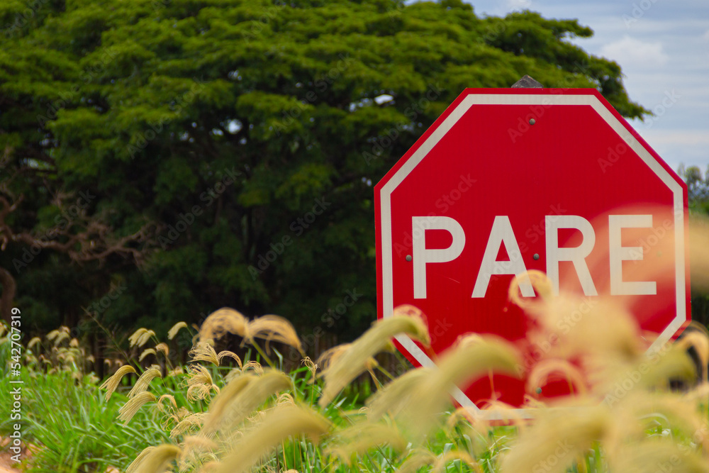 Close Em Placa De Sinalização Em Beira De Estrada Que Está Entre Capim