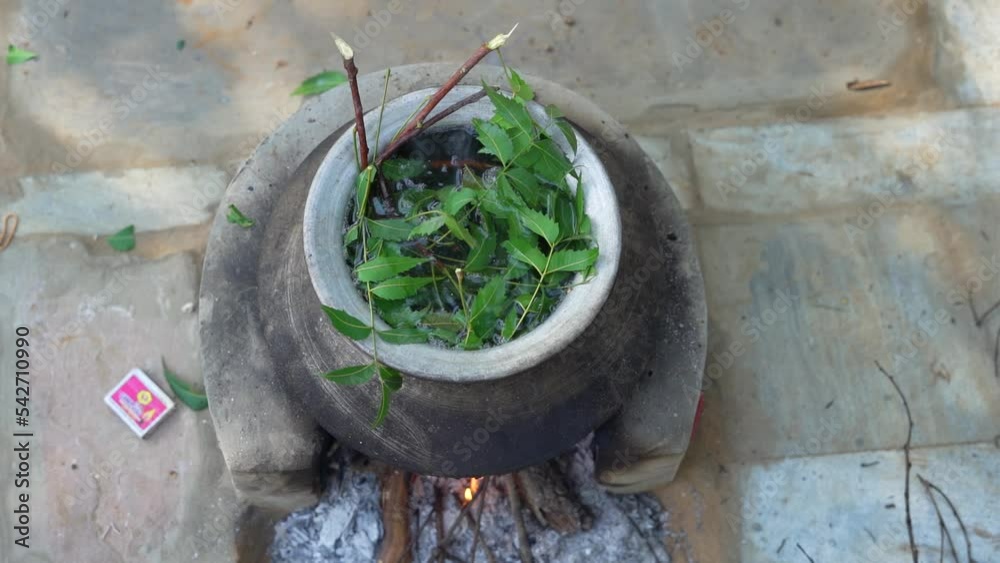 Green Neem leaves known as Azadirachta indica boiled in water on chulha ...