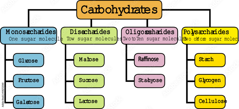 Types of carbohydrates. Carbohydrates And Their Types. Vector ...