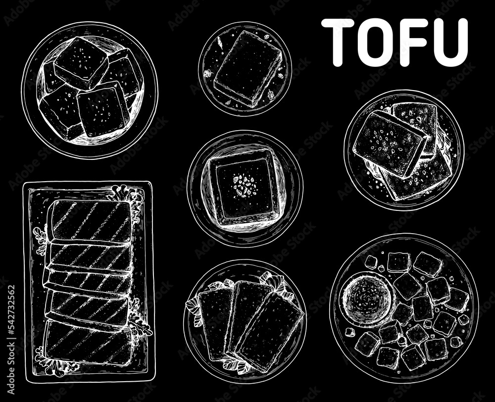 Tofu hand drawn vector illustration. Tofu sketch. Asian food. Soybean ...