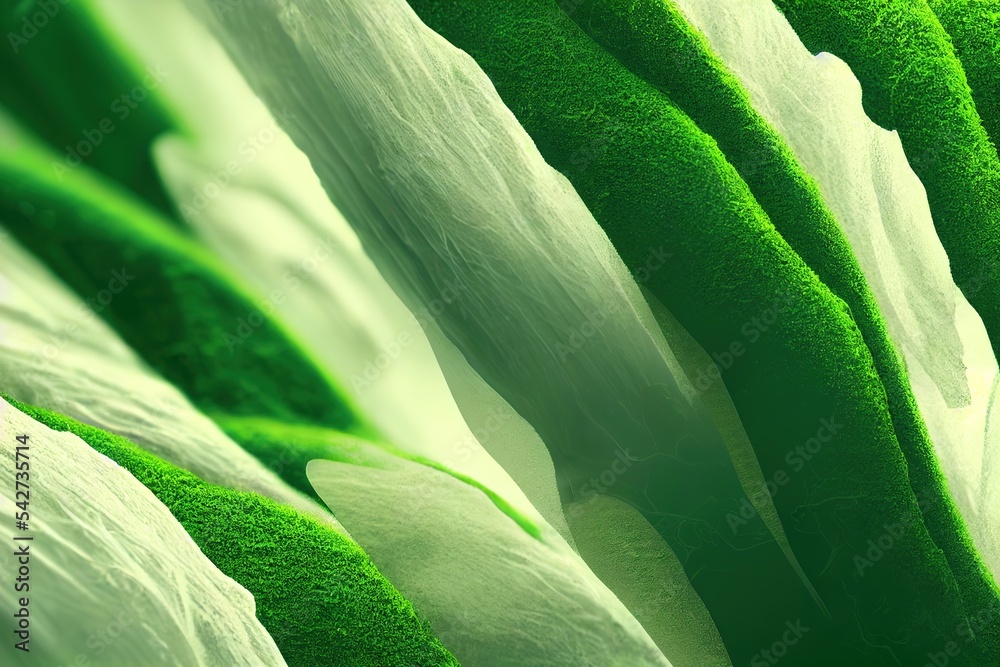 Moss, web, fabric, skin, microflora, sponge, mushroom, biomaterial ...