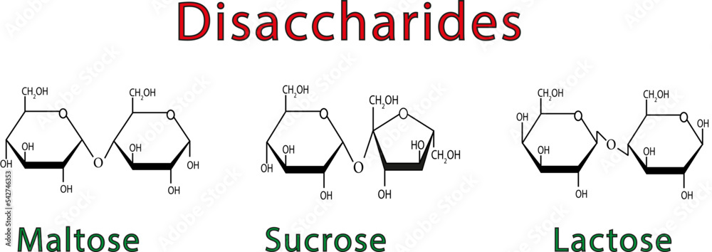 Illustration Chimique Des Disaccharides. Maltose, Sucrose Et Lactose ...