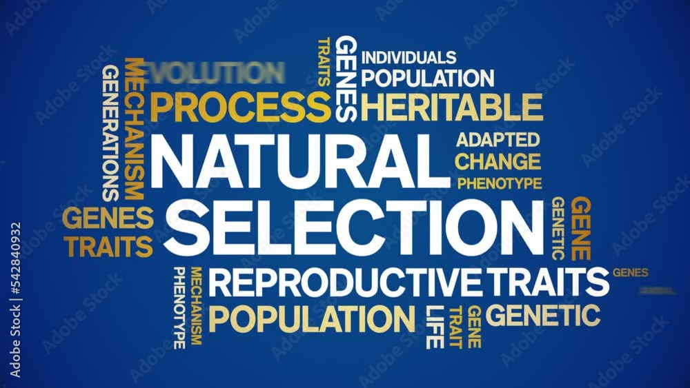 Natural Selection animated tag word cloud;text design animation kinetic ...