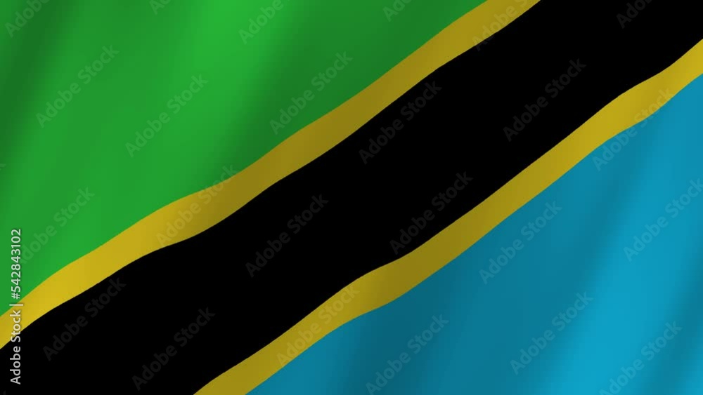 Tanzania flag waving animation. seamless loop animation flag video ...
