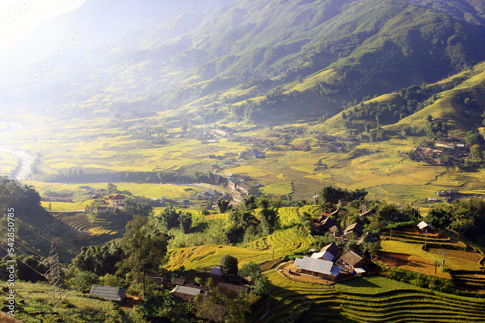 Terraced rice field in Sapa, Vietnam. The terraced rice paddy-fields in ...
