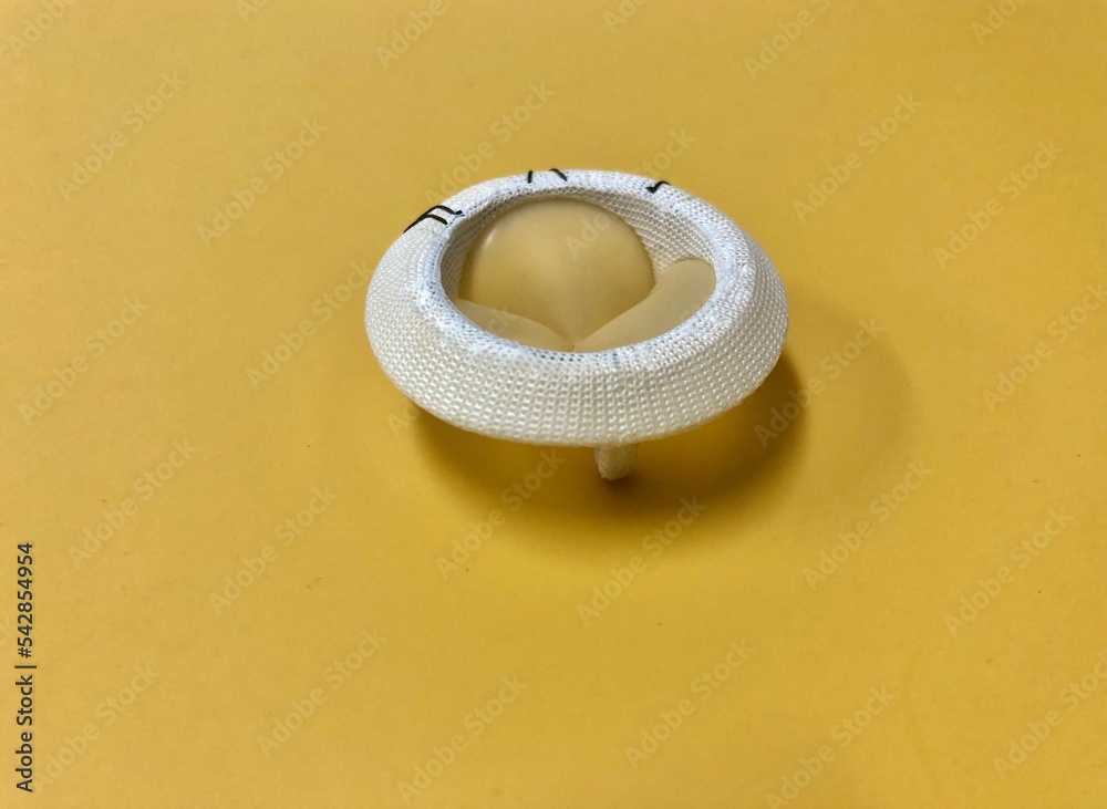 Bioprosthetic or tissue heart valve for valve replacement operation ...