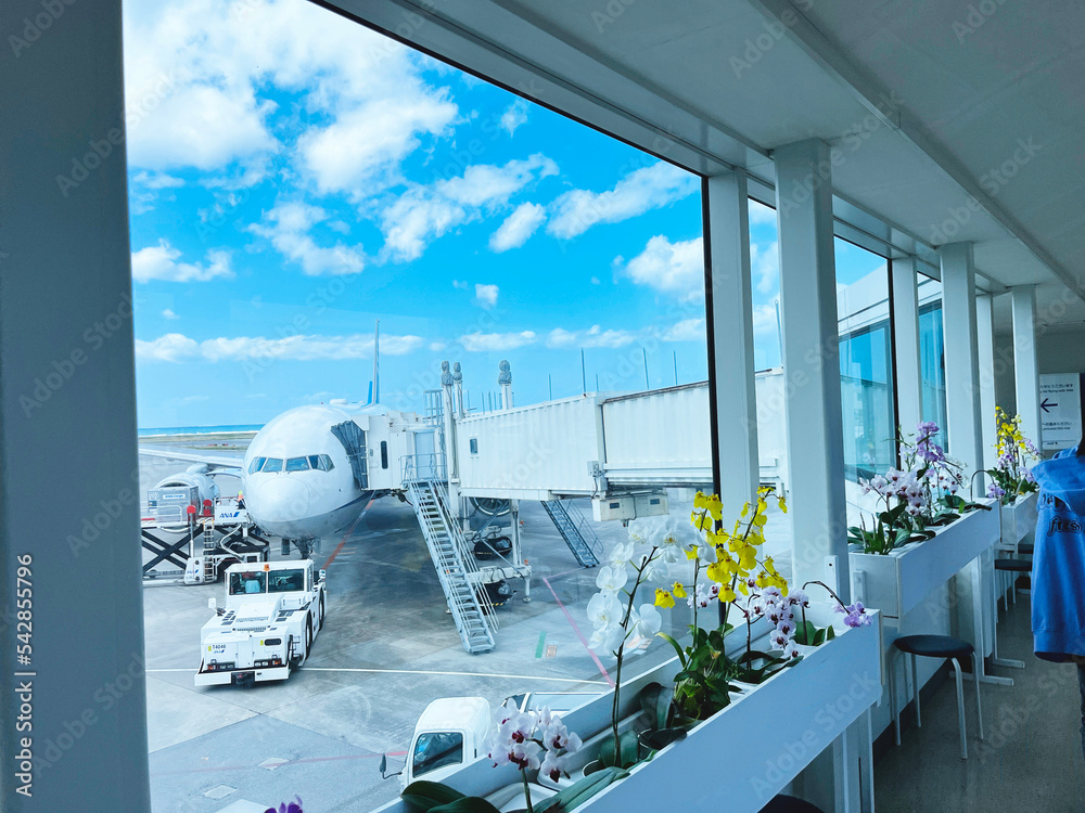 ANA airplanes at Naha International Airport, Okinawa, Japan Stock Photo ...
