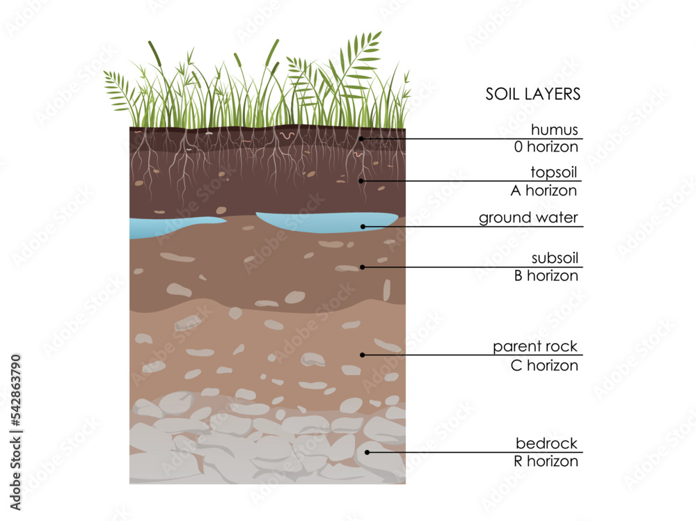 Soil layers diagram with underground water. Geology Underground ...