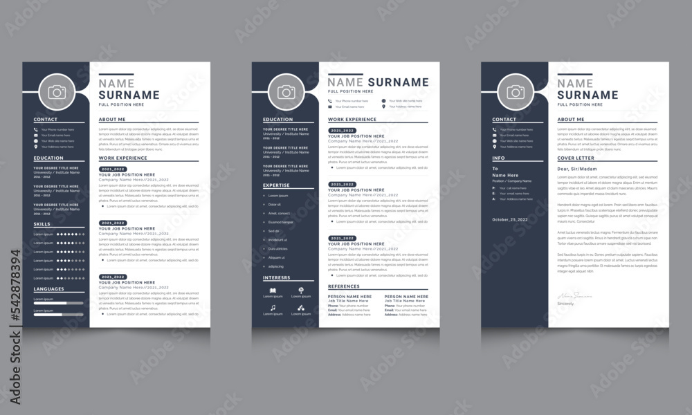 Stylish CV Layout resume template - dark gray Professional Resume ...