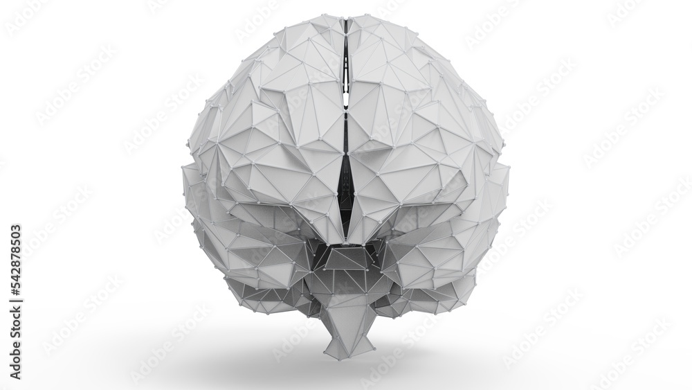 White abstract polygonal human brain. Low poly silver wire frame mesh ...