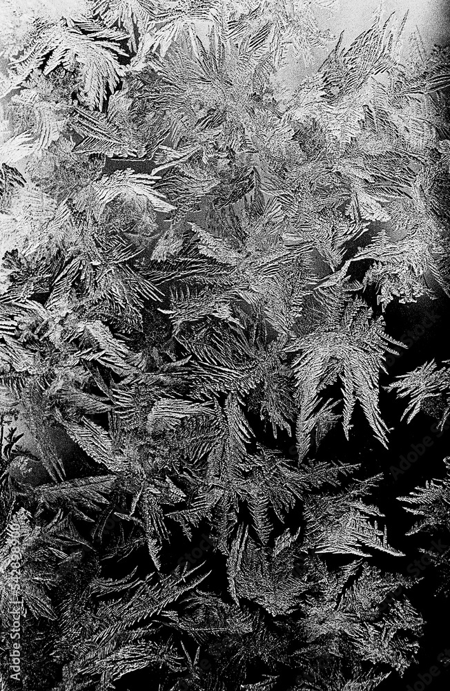 Frostwork pattern ice crystals on black background. Dark surface with ...