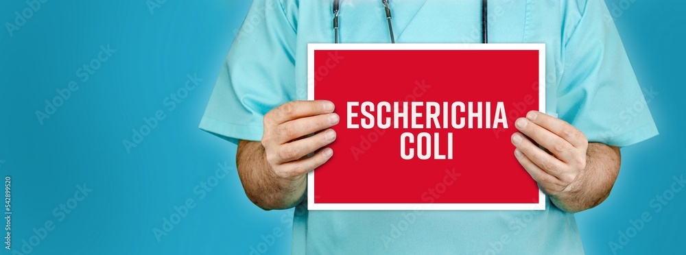 Escherichia coli (E. coli). Doctor shows red sign with medical word on ...