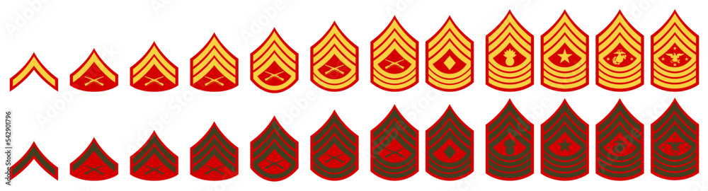 Vector military insignia of the dress and service uniform of the United ...
