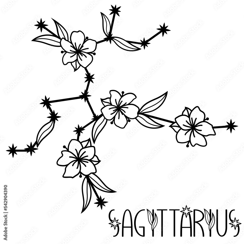 Sagittarius zodiac sign svg, Floral constellation svg, Horoscope ...