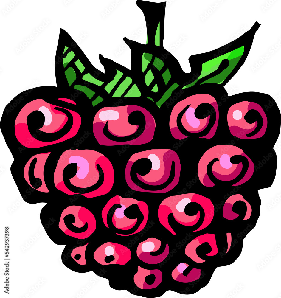 Hand drawn isolated ink raspberry. PNG colorful illustration Stock ...