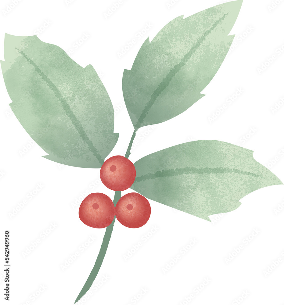 Christmas holly berries, red berries with leaves clipart. Isolated ...