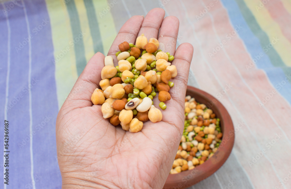 Mixed salad of soaked kala chana or black chickpeas, green moong ...