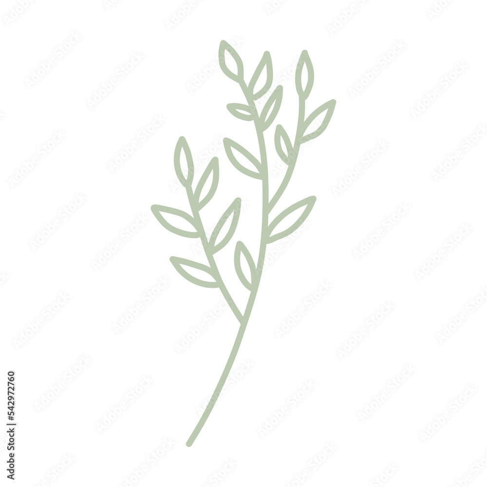 Doodle line art drawing leaves and flower branch pastel green color ...