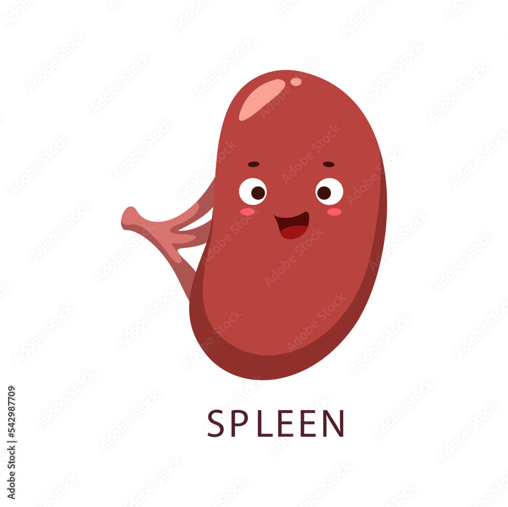 Cartoon spleen human bogy organ character. Immune system cheerful ...