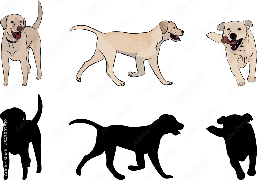 Labrador Retriever silhouettes. Running Lab. Cute walking dogs ...